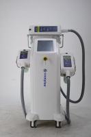 China Weight Loss / Fat Reduction Professional Coolsculpting Machine for sale