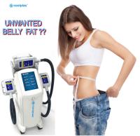 China Weight Loss / Fat Reduction Professional Coolsculpting Machine for sale