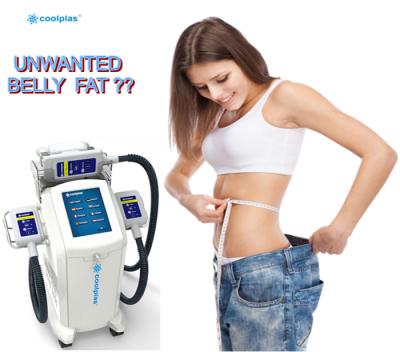 China Fat Freeze Slimming Machine For Body Sculpture / Weight Reduction for sale