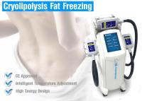 China Multifunction Beauty Machine Freeze Fat Slimming Weight Loss Machine With 3 Treatments for sale
