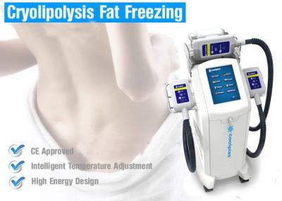 China Multifunction Beauty Machine Freeze Fat Slimming Weight Loss Machine With 3 Treatments for sale