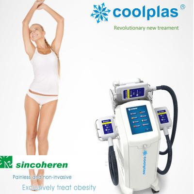 China Vertical Type  Fat Freeze Slimming Machine 300mm × 400mm × 900mm for sale