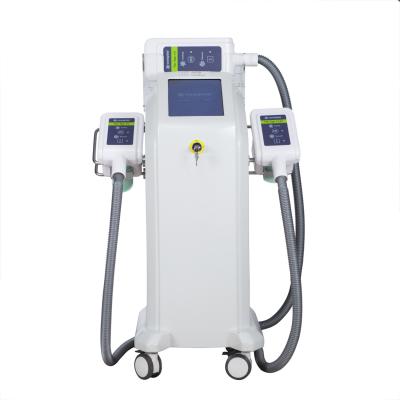 China Supersonic Vertical  Fat Freezing Machine Weight Loss No Surgery for sale