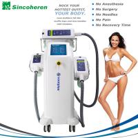 China 3 Treatment Handles Fat Freeze  Treatment /  Slimming Machine for sale