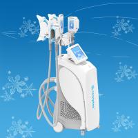 China Fat Coolplas Body Firming Touchscreen Cellulite Reduction Machine for sale