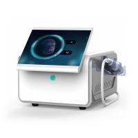 China Commercial Skin Rejuvenation Beauty Rf Microneedle Rf Machine for sale