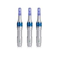China OEM ODM Microneedle Derma Pen With 12 Pin 36 Pin Nano Micro Needling for sale