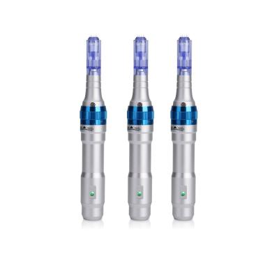 China OEM ODM Microneedle Derma Pen With 12 Pin 36 Pin Nano Micro Needling for sale
