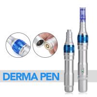 China OEM ODM Microneedle Derma Pen With 12 Pin 36 Pin Nano Micro Needling for sale