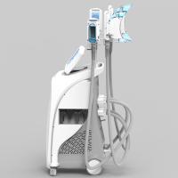China Beauty Salon Mini Cryolipolysis Fat Freezing Machine for sale
