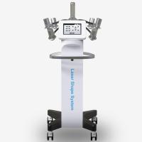 China CE 6d Green Cold Laser Equipment 532nm Body Shape Non Invasive Slimming for sale