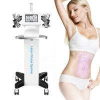 China 6d 532nm 635nm Lipo Cold Laser Machine Body Shape Body Cellulite for sale