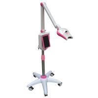 China Dental Salon Lamp Goose Pipe Teeth Whitening Machine CE for sale