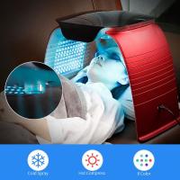 China Estheticians Beauty Led Facial Equipment Pdt Light Therapy With Steam Red Light Belt Therapy for sale