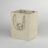 China Recycled Custom Paper Shopping Bag packaging design solutions for sale