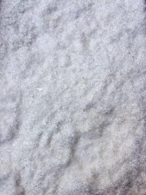 China Alkali Resistant High Silica Chopped Strand Glass Fiber 7-11μm 3-6mm for FRP Reinforcement for sale