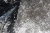 China High Silica Chopped Strand Glass Fiber 9-11μm Diameter 6-30mm Length 1000°C for sale