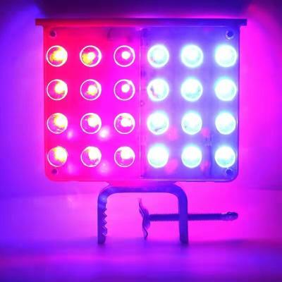 China Road Blue Red LED Blinkers 24LED Solar Traffic Lamp / Barricade Light TRAFFIC Highway Safety Warning Lights for sale