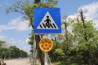 China IP65 Waterproof Solar Powered Sunflower Shape Solar Warning Light Traffic Warning Light for Road Safety for sale