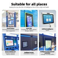 China 10.1 Inch IP65 Waterproof Industrial Monitor Touchscreen Sunlight Readable 1000cd/m2 Wide Voltage DC12V for sale