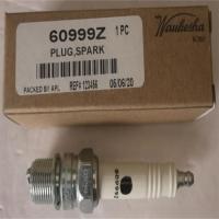 China Waukesha Sparking Plug 60999Z for sale