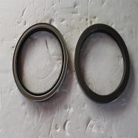 China Garlock Assembled Oil Seal 21086-3484 boom oil seal kit for sale