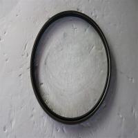 China Garlock Model 59 Oil Seal 24700-4396 mechanical seal oil seal for sale