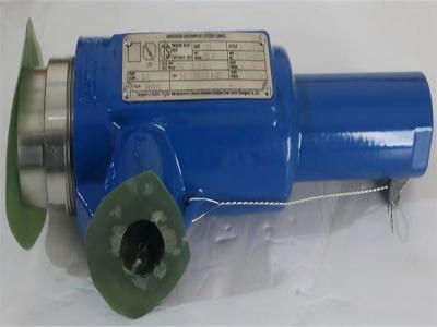 China ANDERSON GREENWOOD RELIEF VALVE 951102FFA for sale