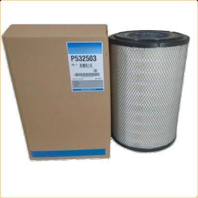 China Factory Wholesale Truck Engine Spare Parts Air Filter Element P532503 6I2503 AF25129M RS3506 for sale