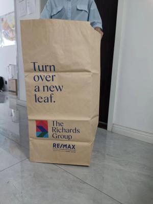 China Customizable Open Top Brown Lawn Bags Damp Proof for sale