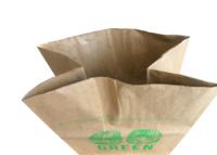 China Flexo Printing 2 Layers Multiwall Lawn Paper Bags Biodegradable For Garden Waste for sale