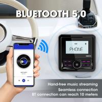 China Waterproof Boat Audio Marine Stereo Digital Marine Grade Player FM AM Boat Car MP3 Player for sale