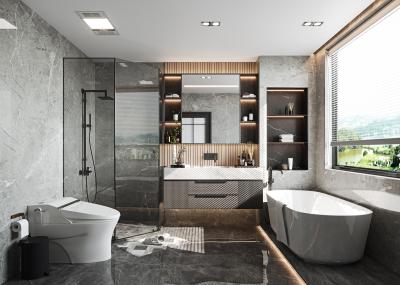 China Modern Design Bathroom Solution with Bathroom Cabinets and Shower Room for Complete Bathroom Suite for sale