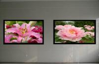 China Indoor Full Color LED Panel P4 2500cd/m² Slim 4mm for Hotel Installation for sale