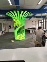 China P2 Indoor Flexible LED Video Wall 256x128mm Curved Commercial Advertising LED Module for sale