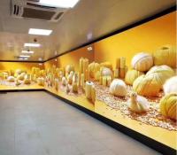 China P4 Indoor Rental LED Display Module 256x128mm 6500cd/sqm Brightness SMD2121 for sale