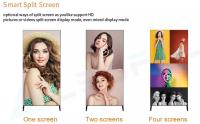 China Indoor P1.8 P2 P2.5 Digital Advertising LED Poster Mirror Display Screen 960x1920mm for sale