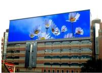 China 10mm Pitch Stadium Full Color LED Display 960x960mm IP65 Die Casting Cabinet for sale