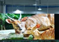 China P1.923 Indoor Full Color LED Screen SMD1515 400x300mm Wall Mount Ultra HD for sale