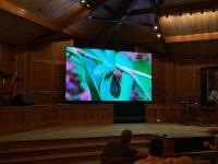China P3.91 Indoor Full Color LED Display 500x500mm 1/16 Scan 1920Hz Refresh Rate for sale