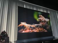 China P3.91 LED Video Wall 500x500mm High Refresh 3840Hz Indoor Rental LED Screen for sale