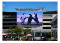 China P6mm Indoor LED Billboard 27778 Pixels/m² 5-Year Warranty High Brightness Display for sale