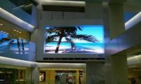 China P1.25 COB Indoor Full Color LED Display 3840Hz Refresh Rate Nationstar Diodes 4G Control for sale