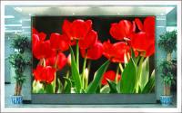 China P10 SMD Outdoor Full Color LED Advertising Billboard 960x960mm Die Casting Aluminum Cabinet for sale