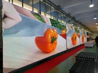 China P3.91 Outdoor Full Color LED Display 500x500mm Stage Screen Video Wall 7000cd for sale