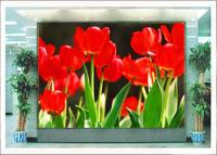 China Indoor Full Color P3 LED Display Screen 192x192mm Wall Mounted 111111 Pixels per sqm for sale