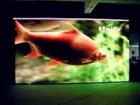 China P6 Outdoor Full Color SMD 3535 LED Video Wall Display IP65 5500nit 6mm Pixel Pitch for sale