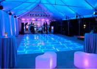 China P4.81 Full Color LED Dance Floor Panel 250x250mm Indoor Outdoor 110V 240V for sale