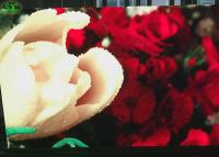 China Indoor P2.5 Full Color LED Display 160x160mm Module High Definition Video Wall Screen for sale