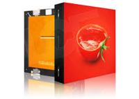 China Ultra Thin P10 Small Trailer Advertising LED Screen 320x160mm Fixed or Rental for sale